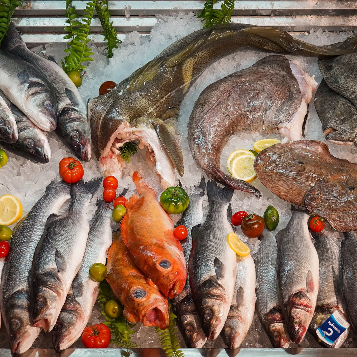 Seafood Collection in Hong Kong | All fresh by air – Mercato Gourmet