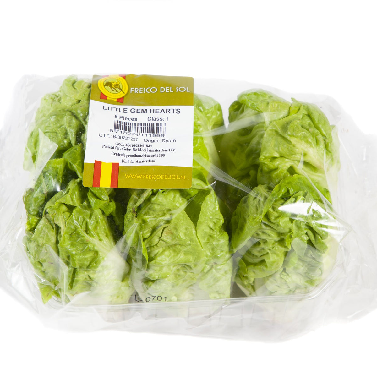 Baby Gem Sucrine Lettuce 6pc – Mercato Gourmet
