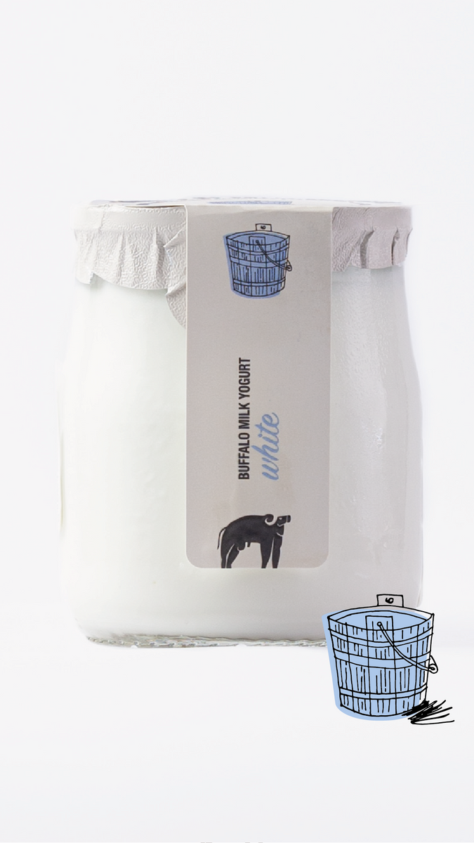 Buffalo Yogurt 110g - San Salvatore – Mercato Gourmet