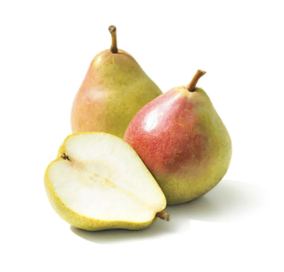 Comice Extra - French Pear – Mercato Gourmet